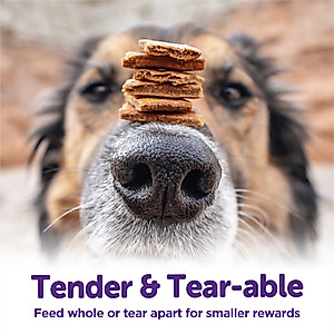 Wellness Rewarding Life Grain-Free Soft Dog Treats, Made in USA with Healthy Ingredients, Ideal for Training (Chicken & Lamb Recipe, 6-Ounce Bag)