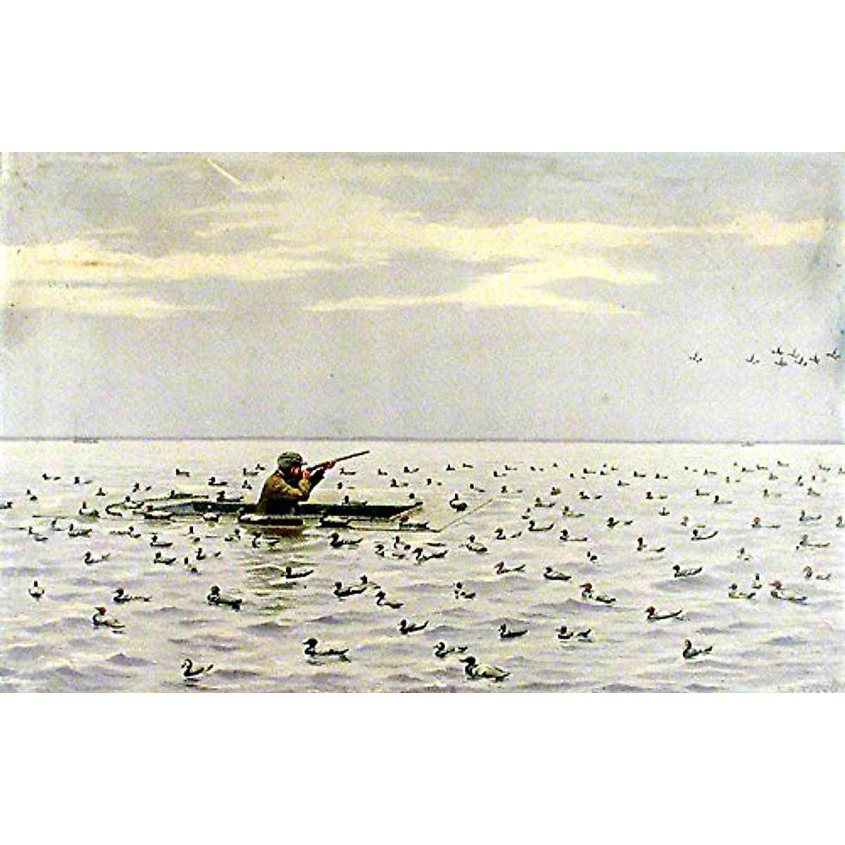 Duck Shooting from a Battery