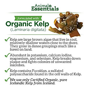 Animal Essentials SeaDent Kelp & Enzyme Plaque & Tarter Control for Dogs, 2.5 oz - Made in USA, Healthy Teeth & Gums