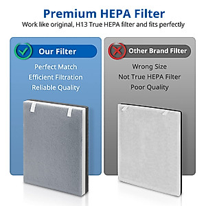 2 Pack Vital 100 True HEPA Replacement Filter Compatible with LEVOIT 100 Air Purifier, H13 and High-Efficiency Activated Carbon Set, Part Number 100-RF