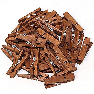 Millennial Essentials Mini Natural Wooden Clothespins, 60pcs, 1.4 Inch Photo Paper Peg Pin Craft Clips for Scrapbooking, Arts & Crafts, Hanging Photos (60pc Rustic Brown)