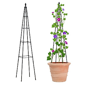 Lalahoni 2 Pack Garden Trellis for Climbing Plants Outdoor Indoor Pot | 67inch Tall Plants Trellis Support with Adjustable Stake Arms | Garden Obelisk Trellis, Lightweight, Black