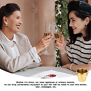 LNQ LUNIQI Metal Ice Buckets 3L Insulated Ice Bucket Stainless Steel Ice Bucket Wine Champagne Bucket Beer Bottles Cooler for Home Restaurant Hotel Catering Party Bar （Golden）