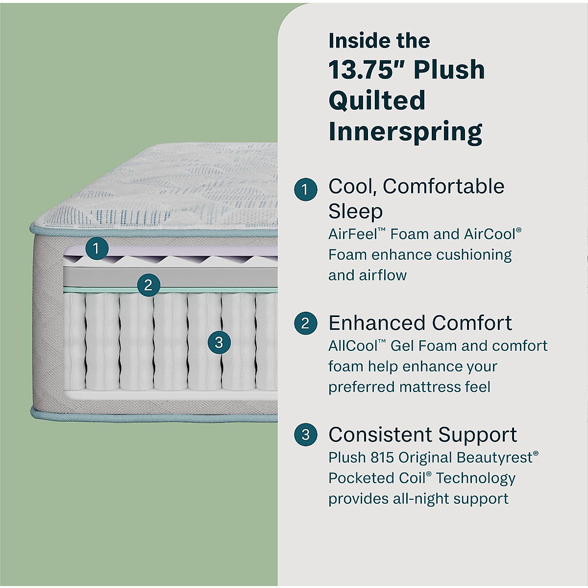 Beauty Sleep DreamRest Plush 13.75" Queen Mattress, Pocketed Coils, Cooling, Breathable, and Pressure Relieving - 100 Night Trial, CertiPUR-US Certified and 10 Year Limited Warranty