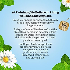 Twinings Nightly Calm Herbal Tea K-Cup Pods for Keurig - Sleep Tea, Bedtime Caffeine-Free Tea Blend, Soothing Chamomile, Relaxing Spearmint, Subtle Lemongrass Flavor, 12 Count (Pack of 2)