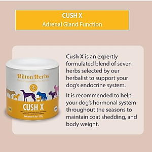 Hilton Herbs Canine Adrenal Gland Support Supplement for Dogs, 4.4 oz Tub