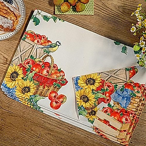 Dolcal Reversible Placemats Set of 4 Washable, Kitchen Table Mats Cloth Heat Resistant Place Mats Cotton Table Placemats Farmhouse,Fruit Red Apple