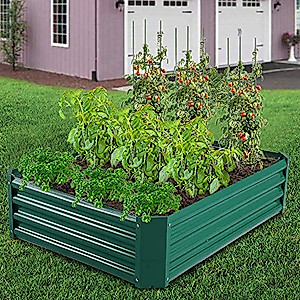 GROWNEER 4 x 3 x 1 Feet Green Metal Raised Garden Bed with 4 Pcs Garden Stakes, 1 Pair of Gloves and 15 Pcs Plant Labels, Elevated Planter Box for Vegetables, Fruits, Flowers, Herbs