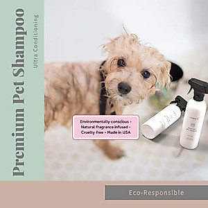 Begley’s Natural No Rinse Waterless Pet Shampoo, Bathless Cleaning, Deodorizing, and Odor Removal for a Shiny, Fresh Smelling Coat - Effective for Dogs, Puppies, and Cats - Fresh Lavender, 2 Pack