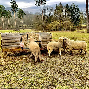 TMEE Hay Feeder Goat Rack Horse Sheep Wall Mount Feeder Heavy Duty Galvanized Steel Hay Basket for Cattle Cows Livestock in Farm