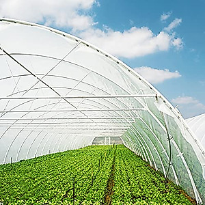 SHANGXING 2 Pack Greenhouse Clear Plastic Film-6.5 x 6.5 Ft Polyethylene Greenhouse Plant Cover Sheeting UV Resistant for Horticulture,Garden and Agriculture (2pcs)