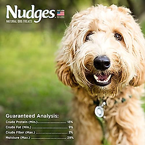 Blue Buffalo Nudges Homestyle Natural Dog Treats, Chicken, 10oz Bag