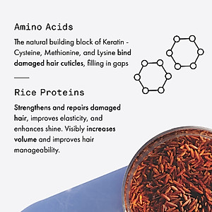 FEKKAI Super Strength Conditioner - 2 oz - Repairs, Strengthens & Nourishes - Salon Grade, EWG Compliant, Vegan & Cruelty Free