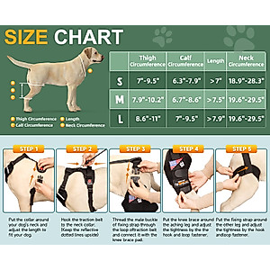 Virbraroo 8X Support Dog Knee Brace with Metal Strips for Joint Pain Relief, Dog Leg Brace for Torn Acl Hind Leg, Rear Leg Brace with Adjustable Traction Belt for Cruciate Ligament Injury (M)