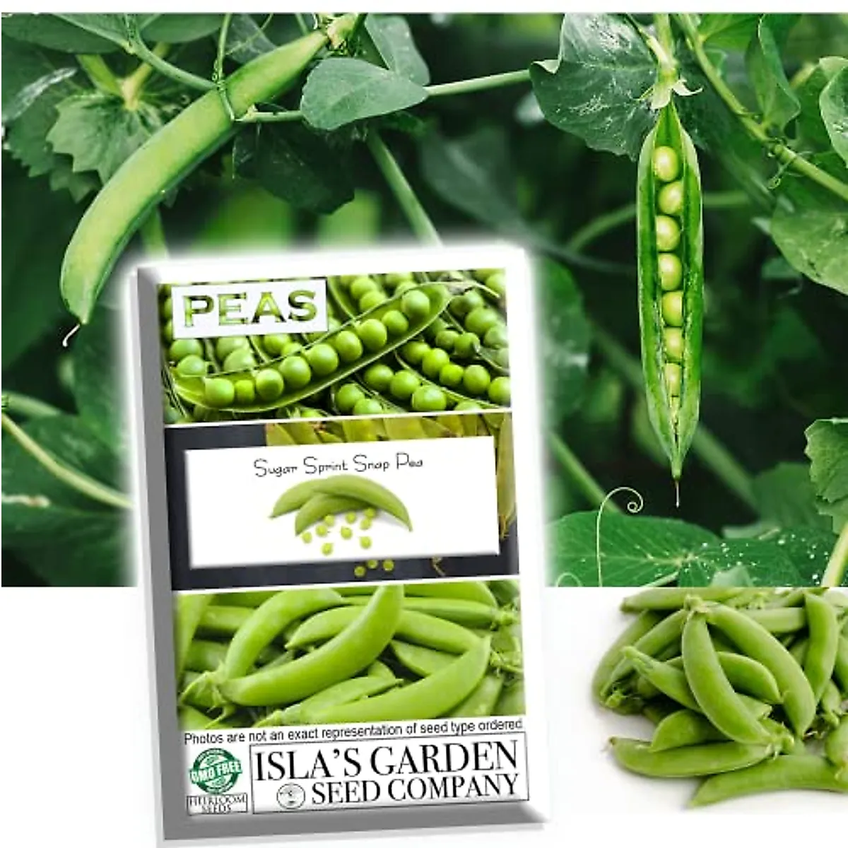 Sugar Sprint Snap Pea Seeds for Planting, 25+ Heirloom Seeds Per Packet, (Isla's Garden Seeds), Non GMO Seeds, Botanical Name: Pisum sativum, Great Home Garden Gift