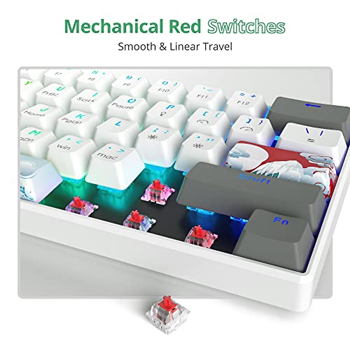 Owpkeenthy RGB Mechanical Keyboard 60 Percent Red Switches, Ultra-Compact Mini Wired Gaming Keybaord with Backlit PBT Dye-Sub Keycaps for Win/Mac/PC (White/Red Switch)
