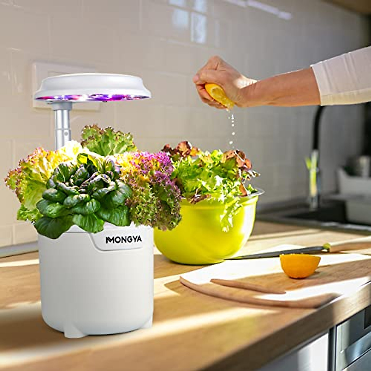 Mini Hydroponics Growing System, Indoor Herb Garden Kit with LED Grow Light, Smart Hydroponic Garden Germination Kit for Home Kitchen, Automatic Timer,Height Adjustable, Bonus 9pcs Sponges (White)