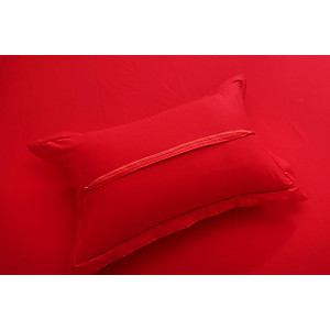 I-MART Queen Size Chinese Traditional Red Sheet Asian Bedding with Dragon and Phoenix Bird Embroidery Duvet Cover Set 4 Pcs