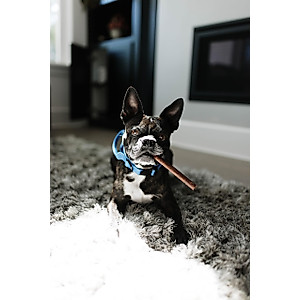 Bark & Harvest Pet Provisions From The Farm Beef Collagen Beauty Stix Dog Treat | All Natural & Long Lasting | Bully Stick & Rawhide Alternative | Support Healthy Joints, Skin & Coat | 6" Pack of 3