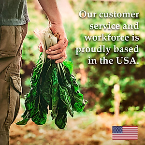 Henderson Lima Bean Seeds - 1 Lb ~1,280 Seeds - Non-GMO, Heirloom - Vegetable Garden Seeds - Also Called: Butter, Chad, Pallar Beans