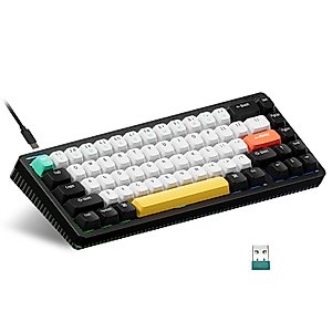 nuphy Halo65 Mechanical Gaming Keyboard with PBT Keycaps, 65% RGB Hot-swap Wireless Keyboard, Supports Bluetooth、2.4G and Wired Connection，Compatible with Mac and Windows-Black(Baby Raccoon Switch)