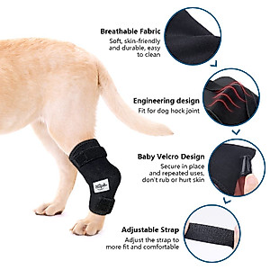 Hilph Dog Ice Pack for Rear Leg Hock,Cooling Hock Wraps with 2 Gel Ice Packs, Cold and Heat Compression Therapy for Dogs Hock Injuires, Dog Joint Pain, Sprains and Post Surgery Recovery (Large)