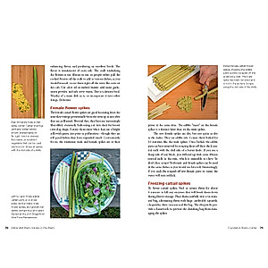 Edible Wild Plants, Volume 2: Wild Foods from Foraging to Feasting (Wild Food Adventure)