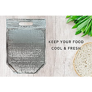 Insulated Lunch Bag with Zip Lock & Handle, Reusable Cool & Thermal Bags, Cooler Pouch, Hot & Cold, Ideal for Sandwich, Snack, Drink, Grocery, Camping (Medium_5 bags 9.8 x 11.0 inches + 5 Ice packs)