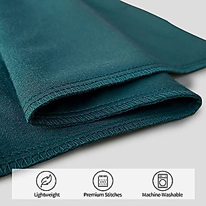 NEXCOVER Velvet Pillow Covers - Pack of 2 Pillowcases, 16 x 16 Inch Throw Pillow Cover, Decorative Square Pillowcase, Soft Cushion Case, Fade Resistant Pillow Case for Bedroom, Sofa, Couch, Teal