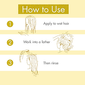 Klorane – Brightening Shampoo with Chamomile – Enhances Highlights & Brightens Blonde Hair – Hydrogen Peroxide, Ammonia, Silicone, Paraben & Sulfate Free – 13.5 fl. oz.