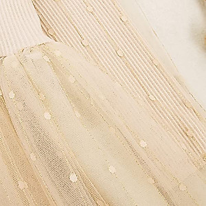 Toddler Baby Girl's Fall Dress Outfit Knit Long Sleeve Fluffy Gold Wire Decoration Tulle Dress Princess Dress (Cream, 4T)