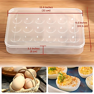 Newness Deviled Egg Containers with Lid, (Set of 2), Plastic Egg Platter for 48 Devil Eggs, Clear Storage Deviled Egg Carrier, Fridge Stackable Countertop Portable Egg Tray
