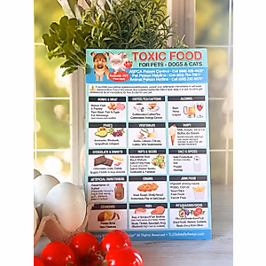 TLC Safety By Design Enhanced Toxic Foods Fridge Magnet for Pets Dogs Cats Emergency Informative Poison Veterinarian Approved Refrigerator Safety 5.5” x 8.5” (Qty. 1)