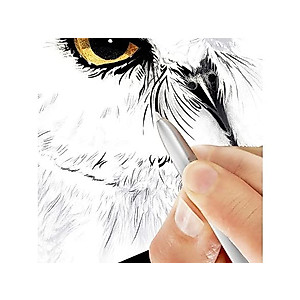 SAMSUNG Touch V2 Convertible 2-in-1 Ultra Slim Laptop Intel Dual Core Processor 4GB RAM 64GB eMMC 12.2in Full HD Dual Camera Chrome OS (Renewed)