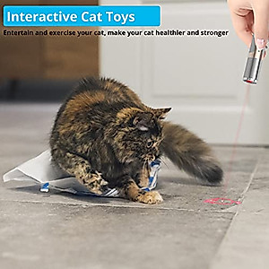 EAWONGEE Cat Interactive Toys for Indoor Cats Dogs, Multi-Mode Pet Kitten Red Light Pen Toys, USB Rechargeable Cat Mouse Toys Wand Light for Outdoor Cat Playing Training Chasing