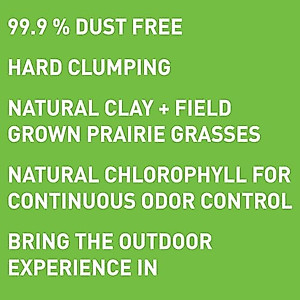 Dr. Elsey's Precious Cat Touch of Outdoors Litter Bag, 20 lb