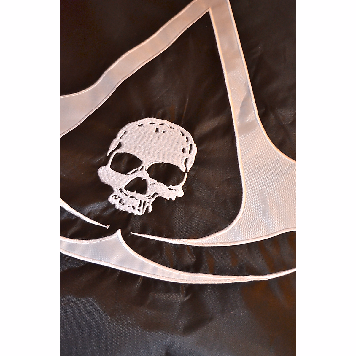 Assassin's Creed IV 4 Black Flag from Limited Collector's Edition