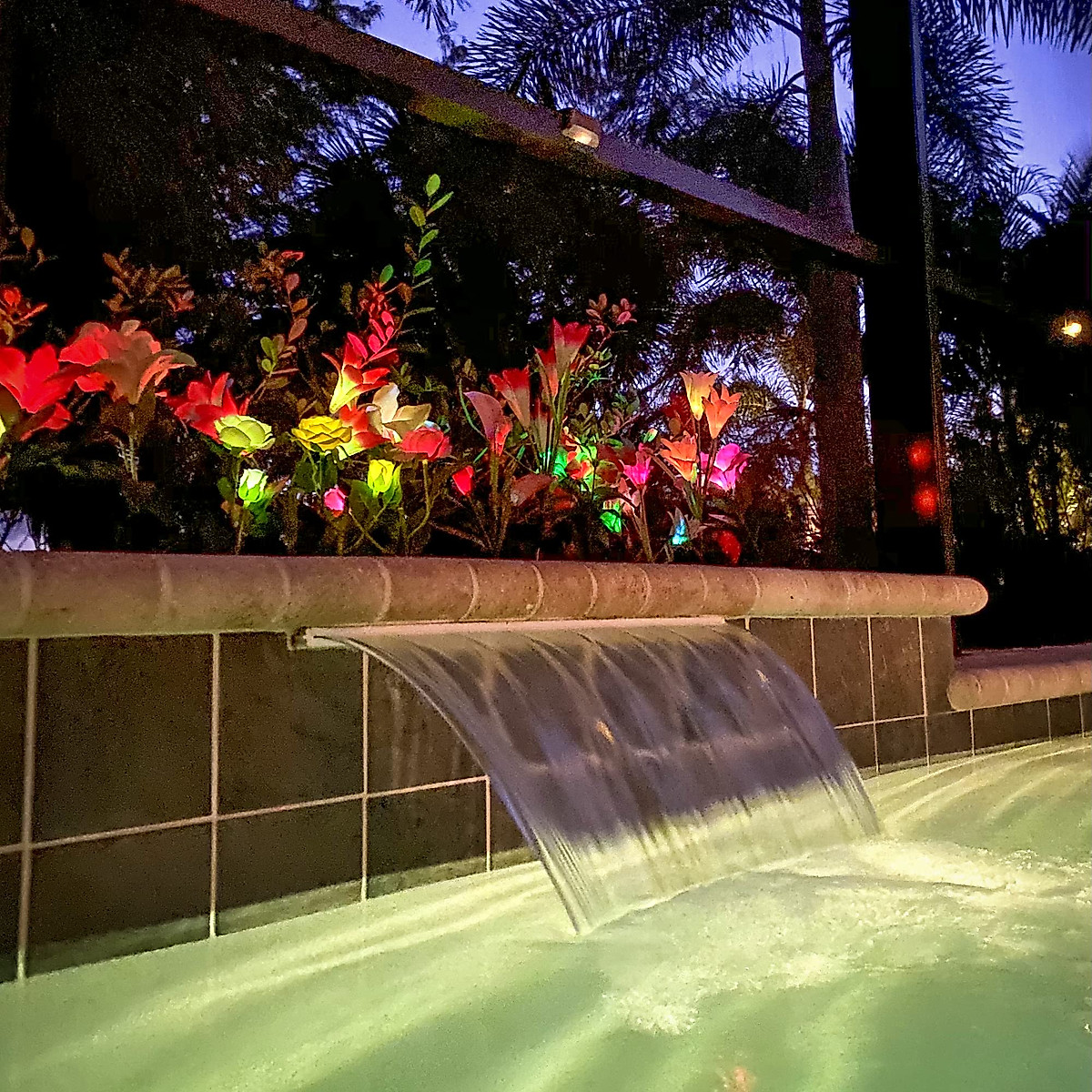 GIGALUMI Solar Flower Gift, Gifts for mom, 8 Solar Lily Flower, Solar Landscape Light, Birthday Gifts for Family and Friends, Grandma Gifts, Mother's Day Gifts,(1 Purple, 1 Red