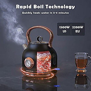 NESSGRAIM Retro Electric Kettle, 1.7L Stainless Steel Tea Kettle with Large Temperature Gauge, 1500W Fast Heating Hot Water Boiler with LED Indicator, Auto Shut-off & Boil-Dry Protection-Reteo Black
