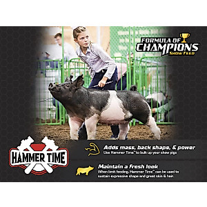 Hammer Time Nutritional Supplement for Show Pigs, 25 lb Bucket