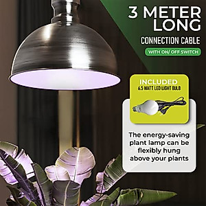 Bio Green 500-USZ Florabooster LUM 500 Grow Indoor 60w Lightbulb Lamp with 3m Connection Cable – Energy Saving House Plants – High Light Intensity, Brushed zinc