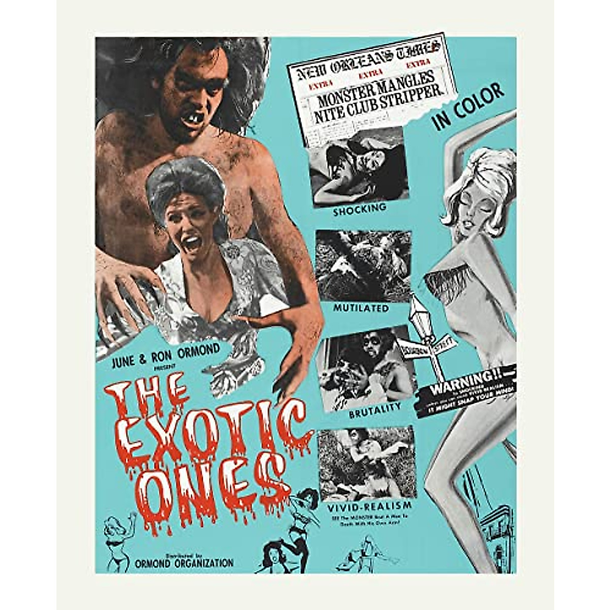 From Hollywood to Heaven: The Lost and Saved Films of the Ormond Family (US Limited Edition) [Blu-ray]