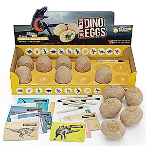 Dig a Dozen Dino Egg Dig Kit - Egg Dinosaur Toys for Kids 3-12 Year Old - 12 Easter Eggs & Surprise Dinosaurs. Science STEM Activities - Educational Boy Toy Party Gifts for Boys & Girls Ages 3-5 5-7
