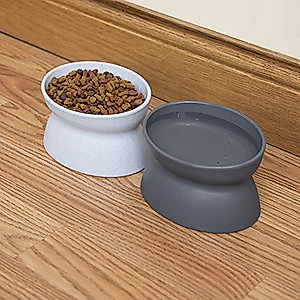 Kitty City Raised Cat Food Bowl Collection_Stress Free Pet Feeder and Waterer