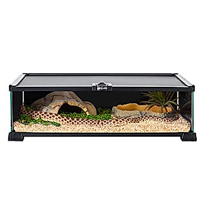 REPTIZOO Small Reptile Tank 20" x 12" x 6" Glass Reptile Terrarium with Top Feeding Reptile Habitat for Reptile Amphibians Snake Spider