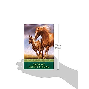 Stormy, Misty's Foal