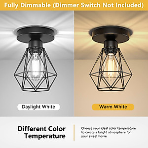 FadimiKoo 2-Pack Semi Flush Mount Ceiling Light, Black Hallway Light Fixtures Ceiling Mount, Farmhouse Metal Cage Pendant Indoor Modern Ceiling Lamp for Kitchen Porch Bedroom (LED Bulbs Included)