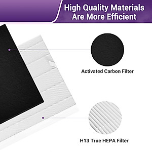 Aneedmore C545 Replacement Filter for Winix S Air Purifier. 2 True HEPA(H13) Filter + 8 Activated Carbon Filters，Part No. 1712-0096-00 and 2522-0058-00