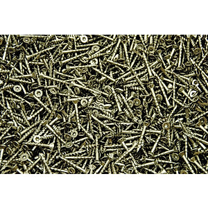 Lexar Industrial (500) Stainless Steel Torx T20 Star Flat Head 8 x 1-1/4 Deck Screw Type 17 Wood