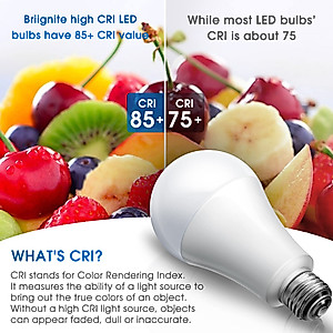 Briignite 3 Way LED Light Bulbs 50-100-150W Equivalent Daylight White 5000K, 3-Way A21 LED Light Bulb E26 Medium Base, 600LM-1250LM-1850LM, Perfect for Table Lamp, Floor Lamp, Desk Lamp, 2 Pack